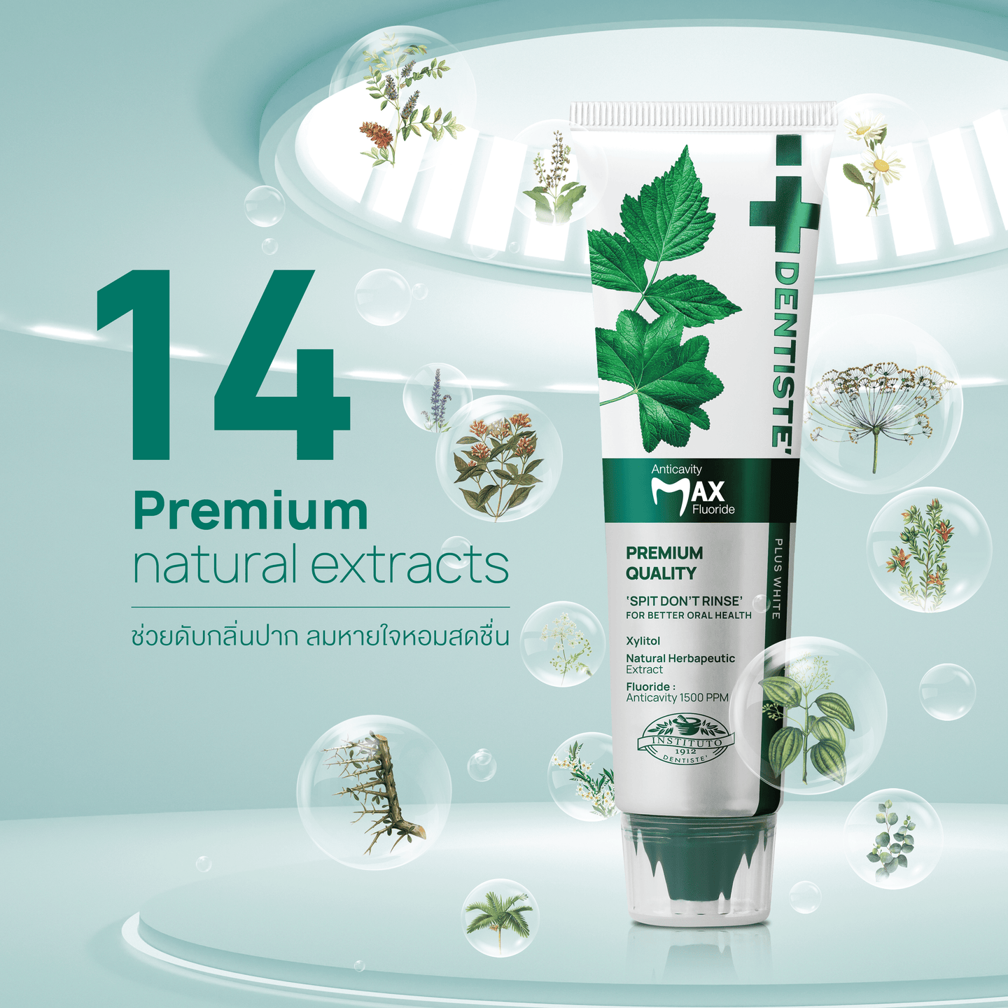 Anticavity Max Fluoride Toothpaste – Dentiste