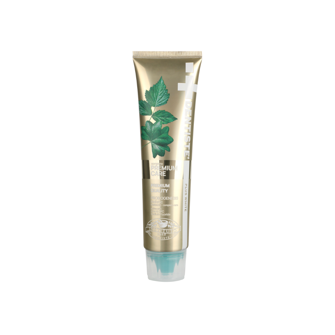 Premium Care Toothpaste – Dentiste